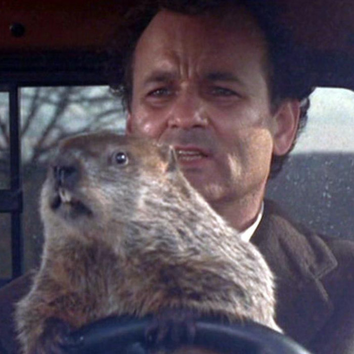 Talkin' to a Groundhog | The Beagle Brothers