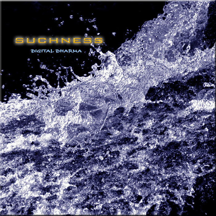 Suchness | Digital Dharma
