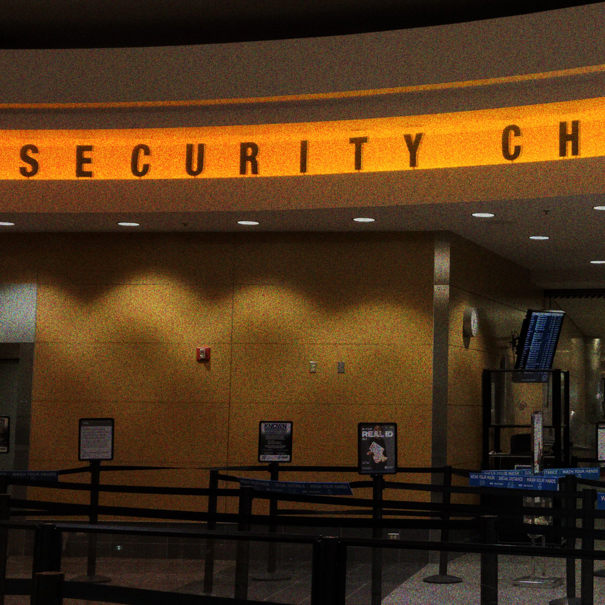 Memoir | felix mackenzie