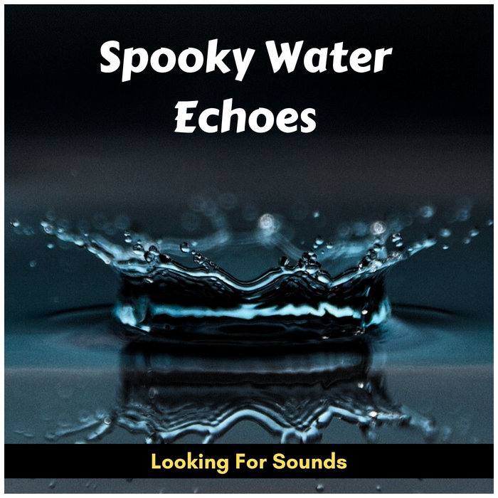 Spooky Water Echoes | Looking For Sounds