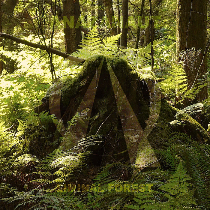 liminal forest | ANAZANAUT