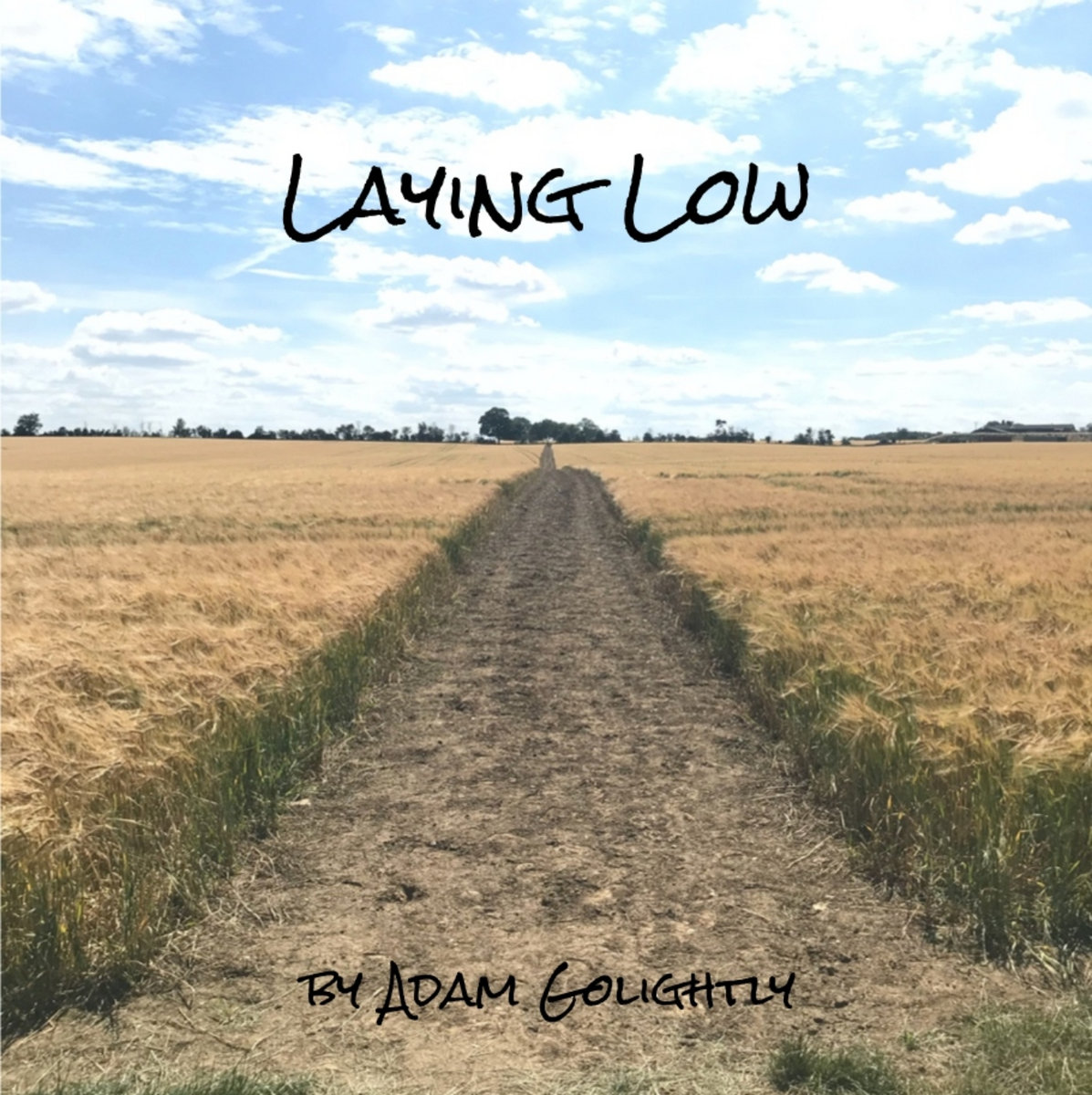 Laying Low | Adam Golightly