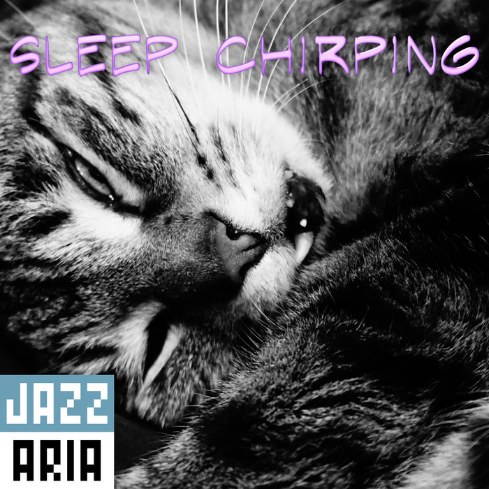 Sleep Chirping | Jazzaria