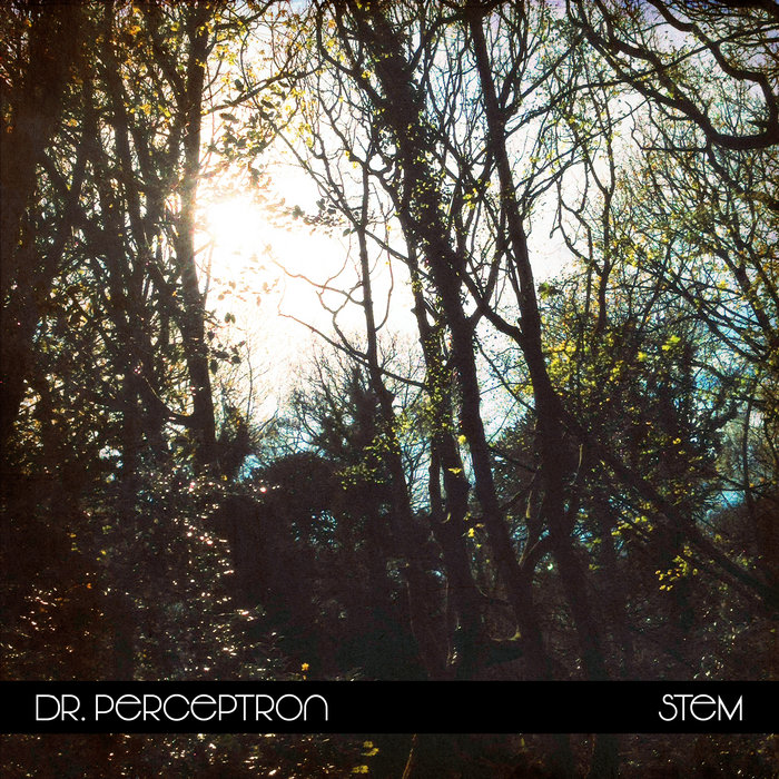 Stem EP | Dr. Perceptron