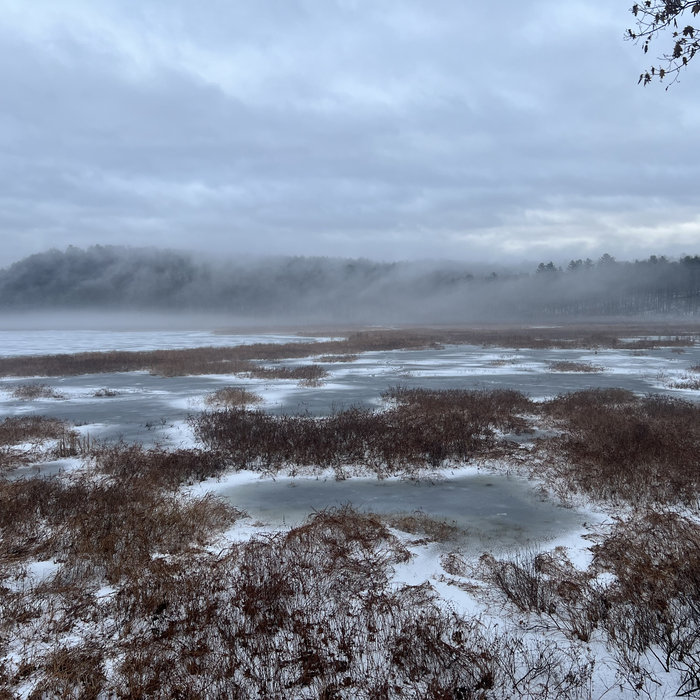 Baile As Baile | Devra Hoff