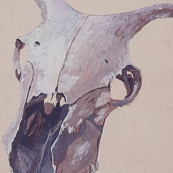 Soft Stitches | The Bird:The Bay