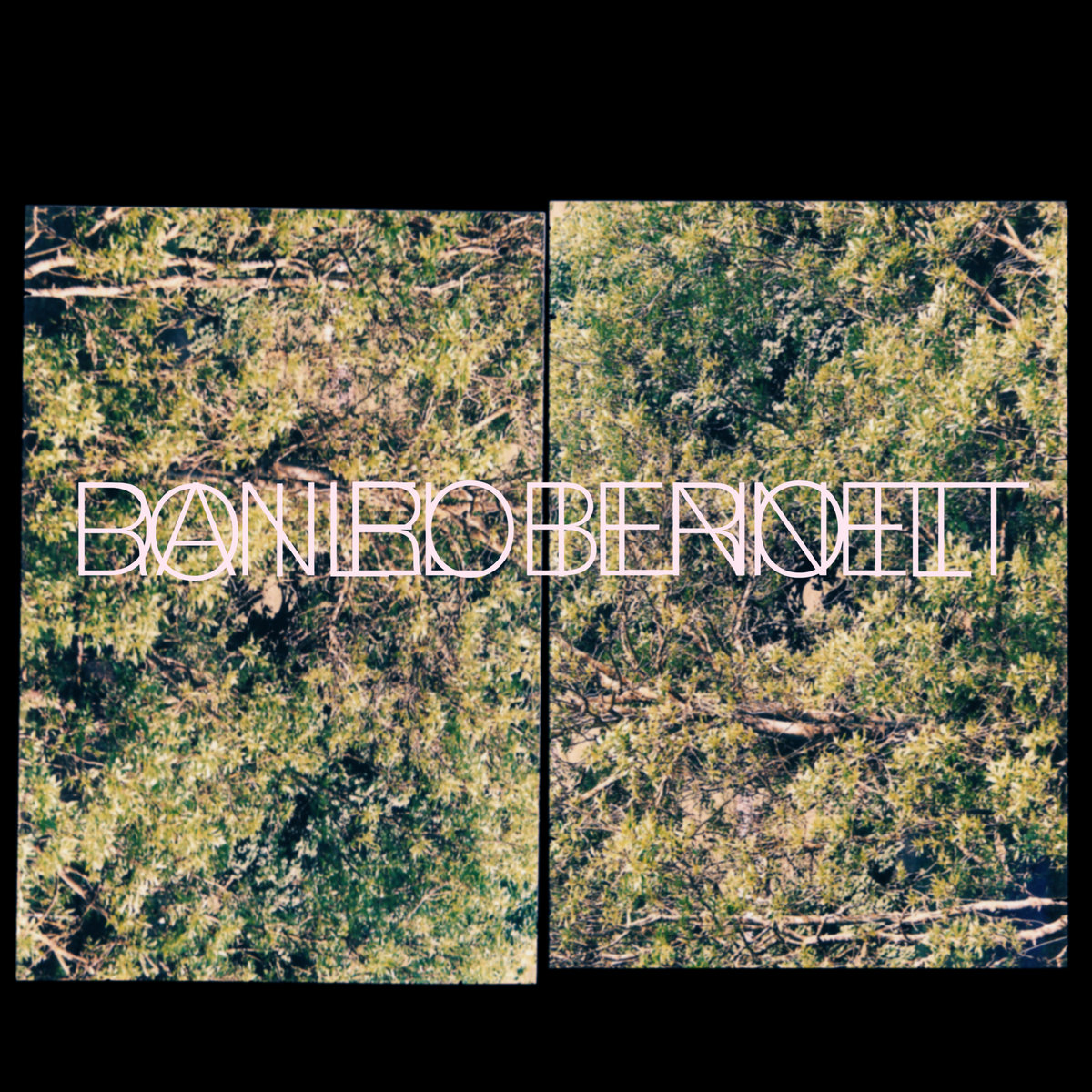 Roil | Dan Bennett | Skjølbrot