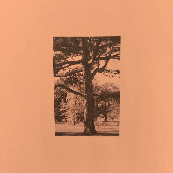 Knitred | Jacob David | Moderna Records