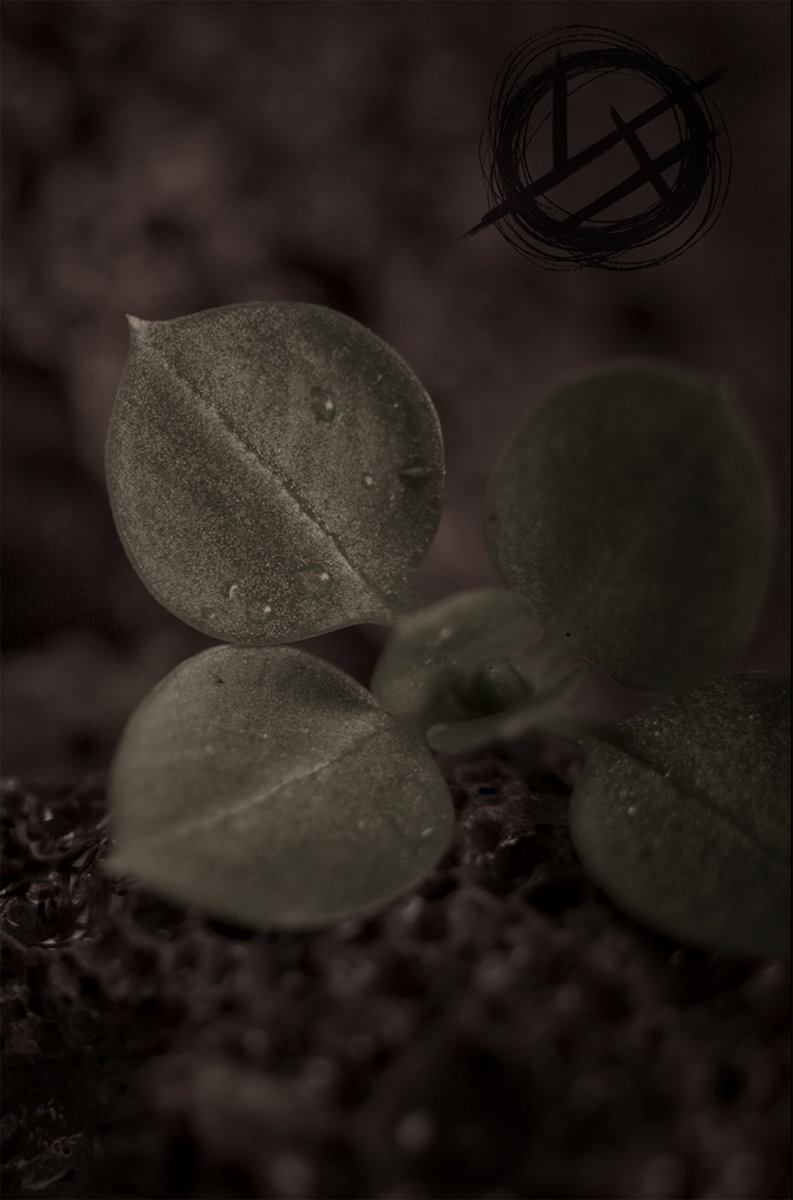 Green Mars | ZeroNull | Marbre Negre