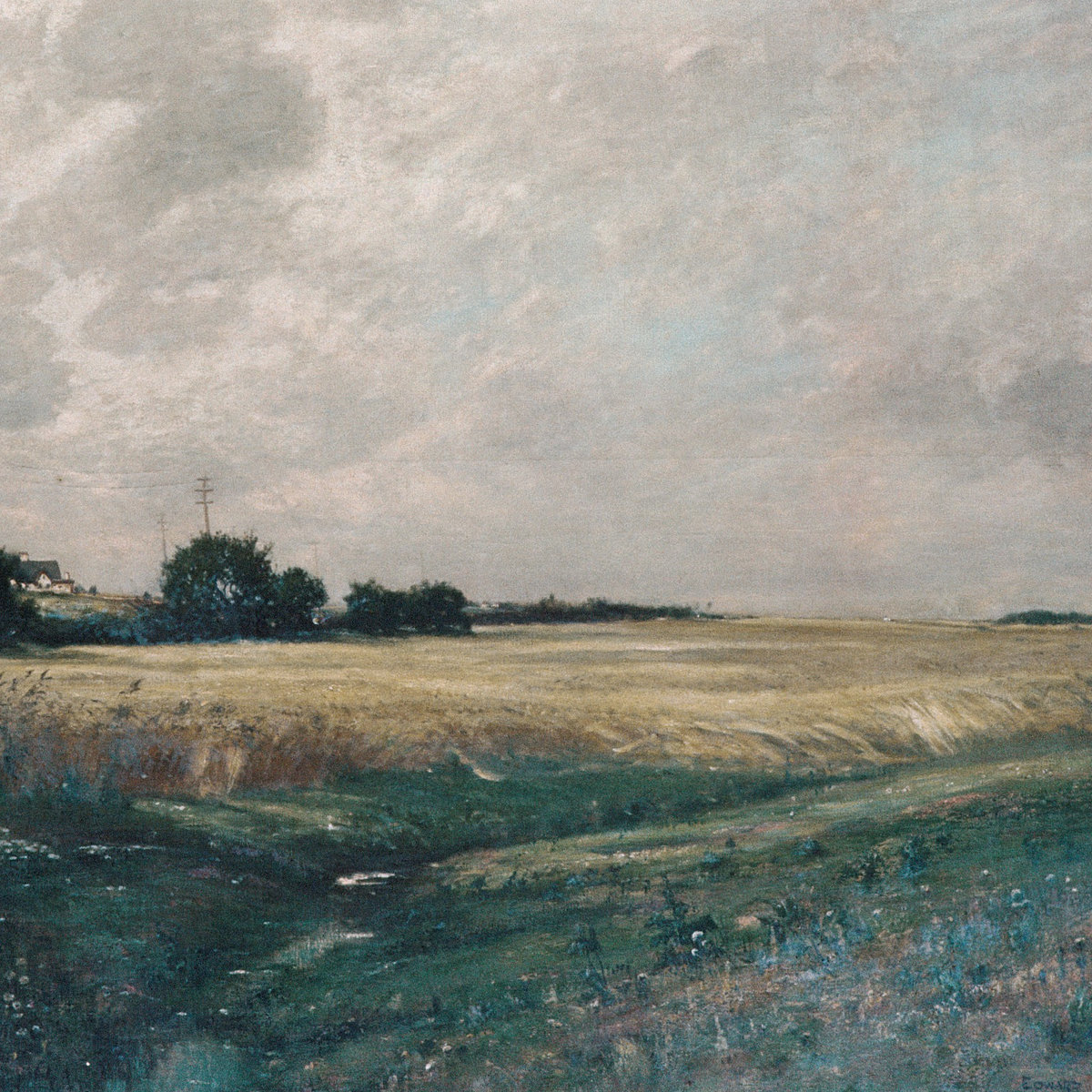 Amid Marble and Mud | Robert Withnell