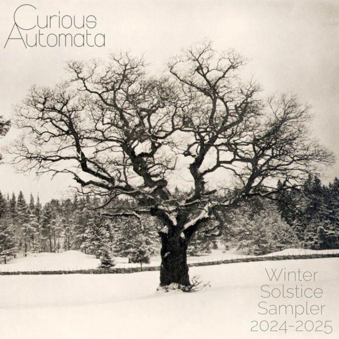 Winter Solstice Sampler (2024-2025) | Curious Automata