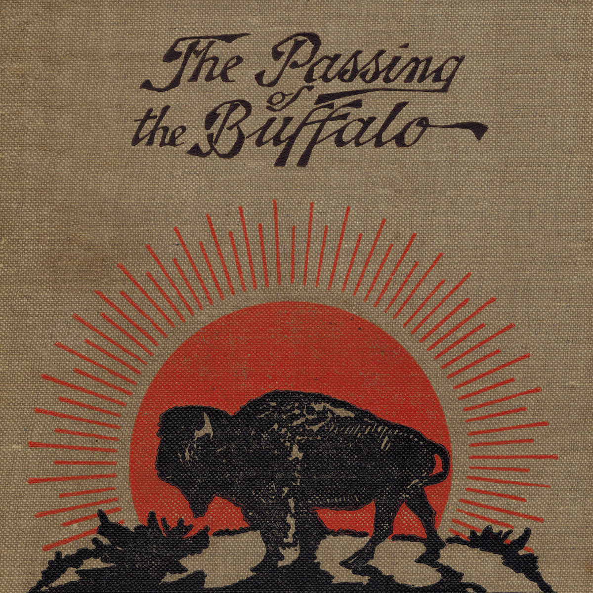 Foo Fighters Album Cover On With Buffalo