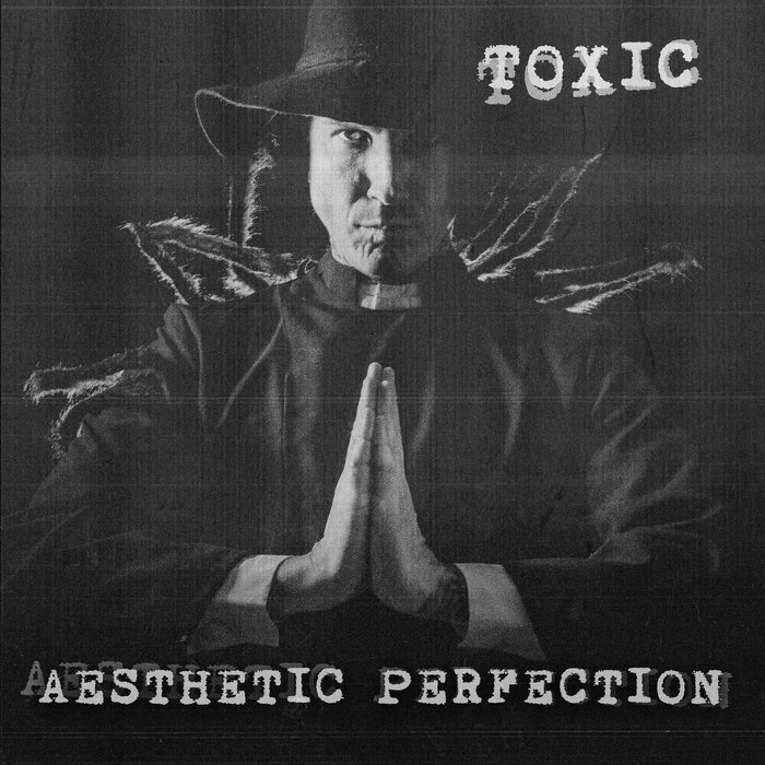 TOXIC (Deadbeat Remix) | Aesthetic Perfection