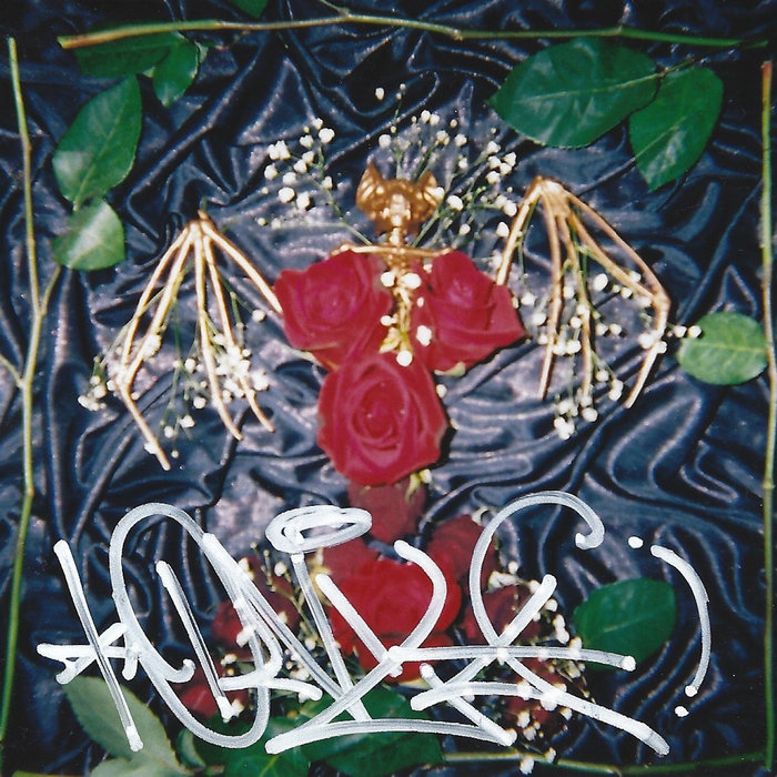 Rotten Bones | 26 BATS!