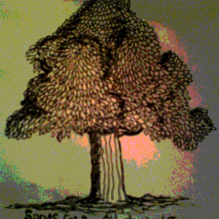 Songs for the Old Chestnut Tree | Junkyard Shaman