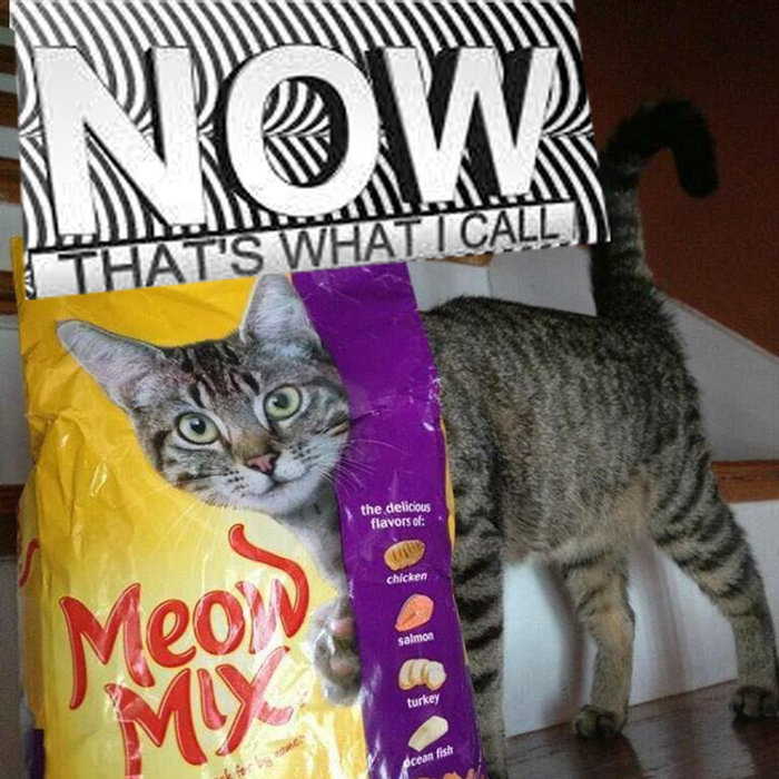 Now that's what I call Meow Mix | 2 Meow 2 Meow