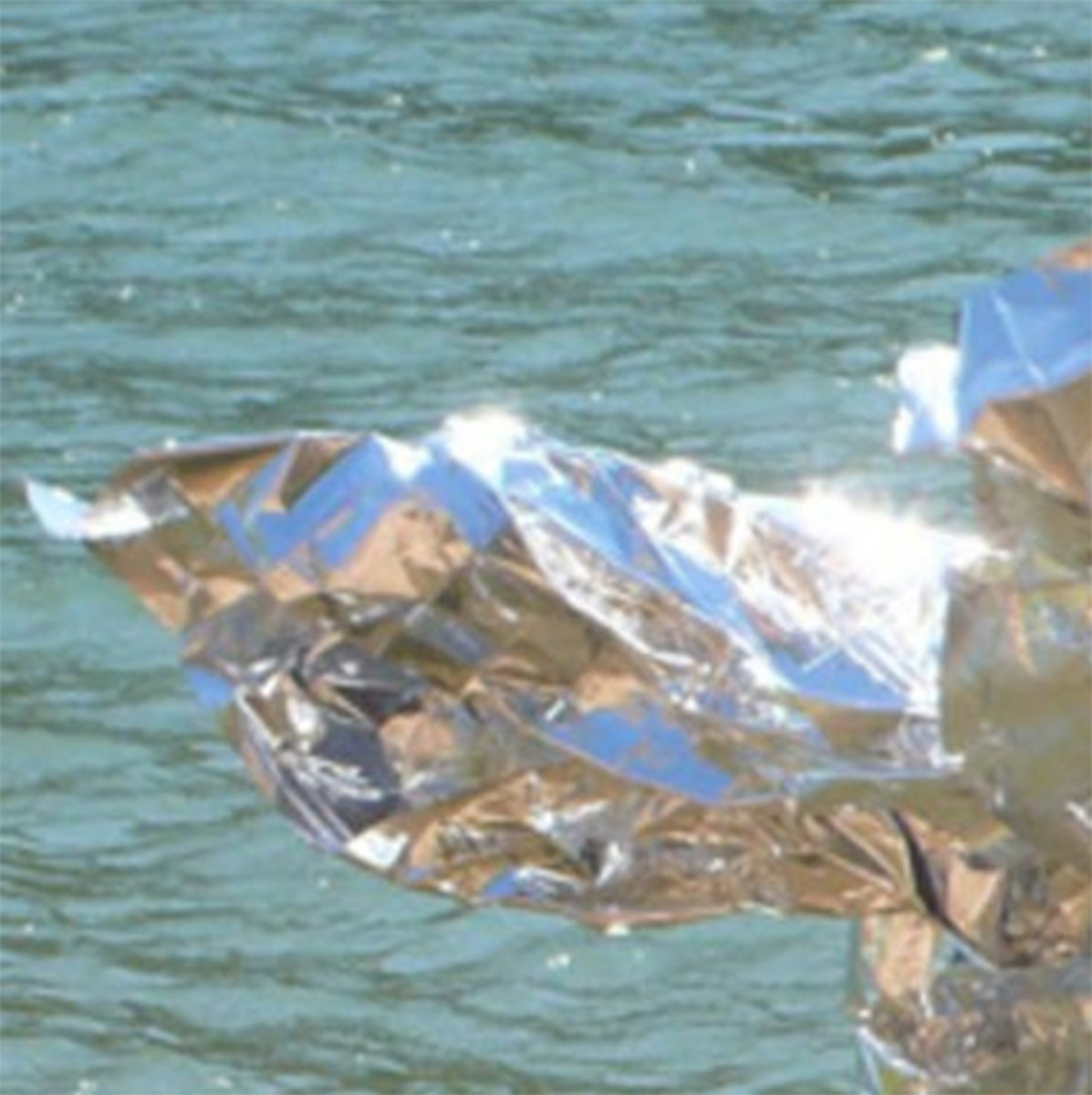 delphi vision | chushi