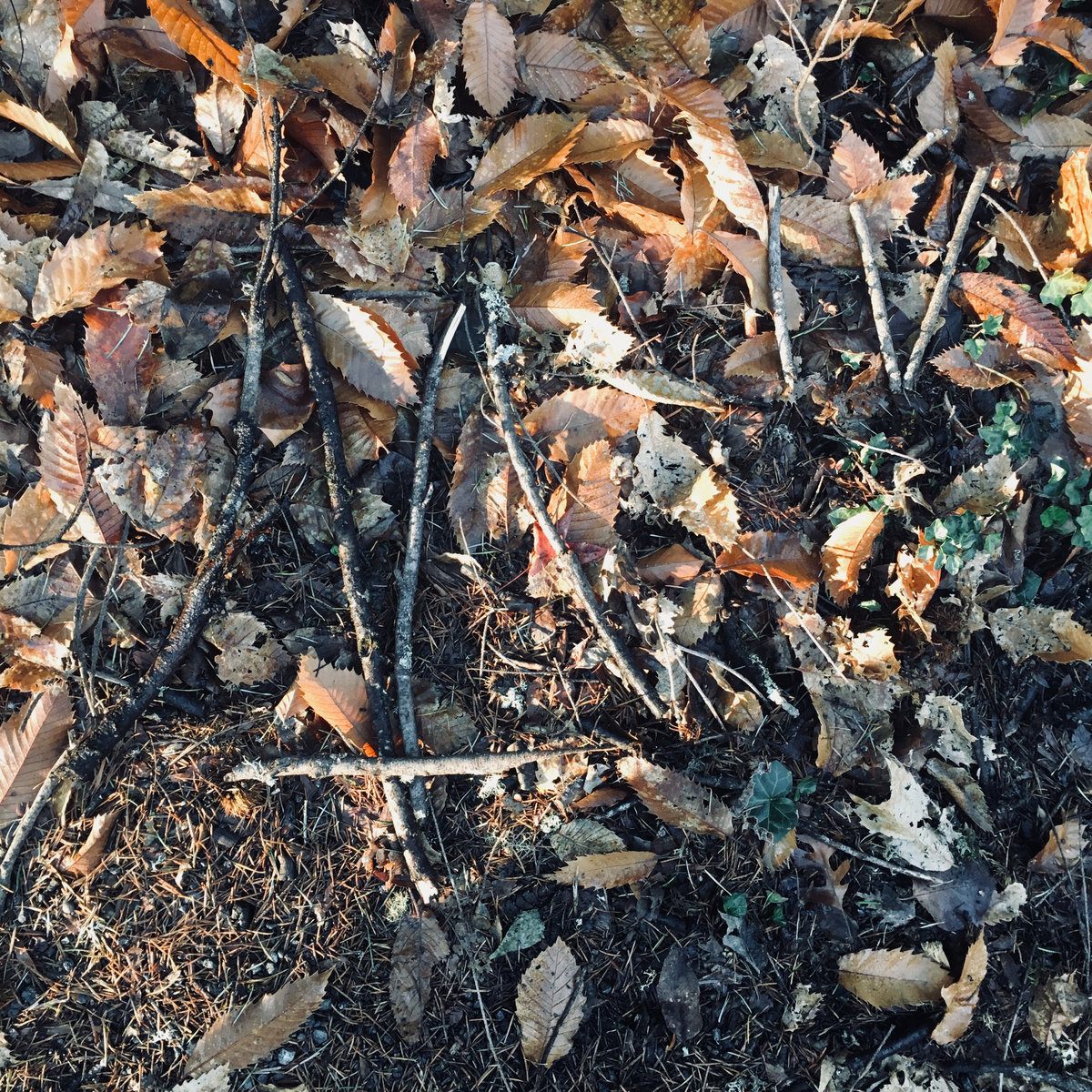 Metal Trenches Volume IV | Metal Trenches