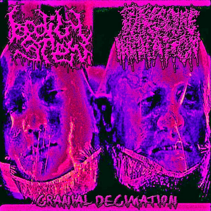 CRANIAL DECIMATION | BODILY STEW