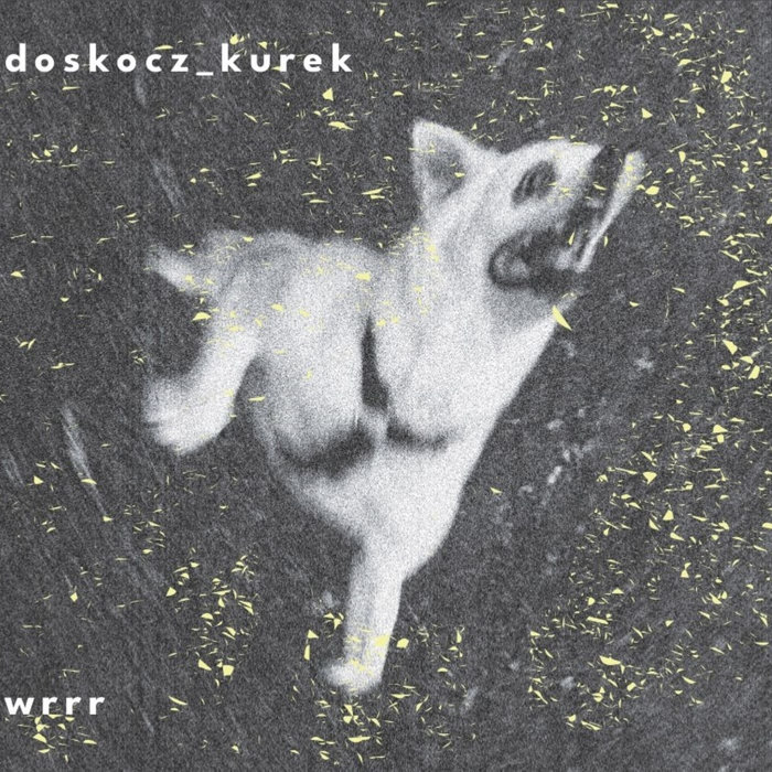 DOSKOCZ / KUREK: wrrr | Antenna Non Grata