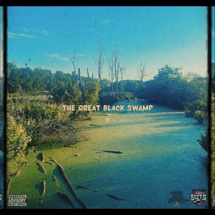 The Great Black Swamp II | The Beetz