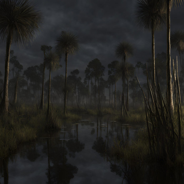 Limited Set (Swamp) | Nathan Corder