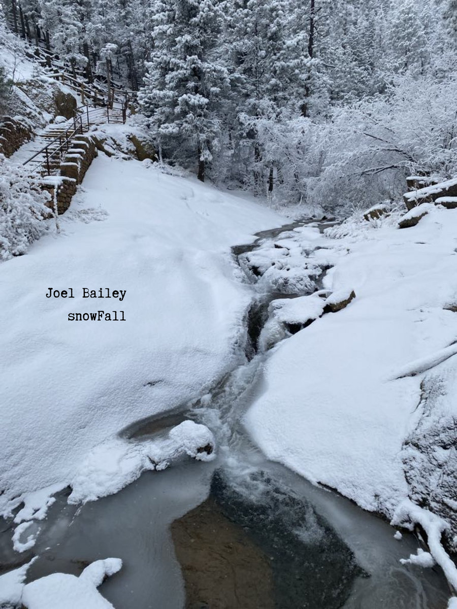 Snowfall | Joel Bailey