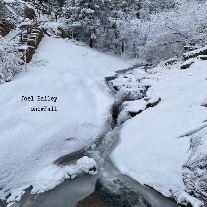 Snowfall | Joel Bailey