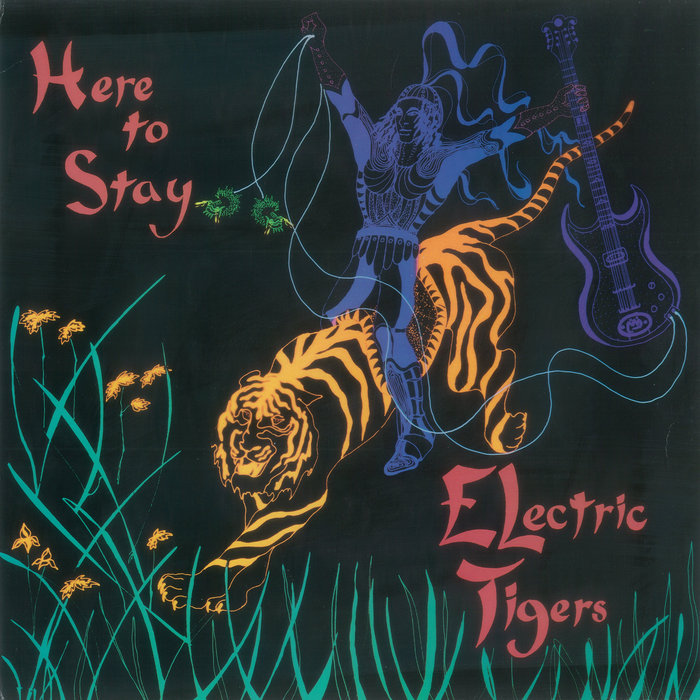Electric Tigers / Here to Stay | Paul Anderson