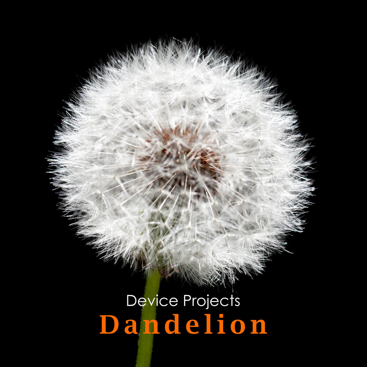 Dandelion | Device Projects