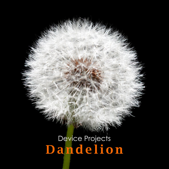 Dandelion | Device Projects