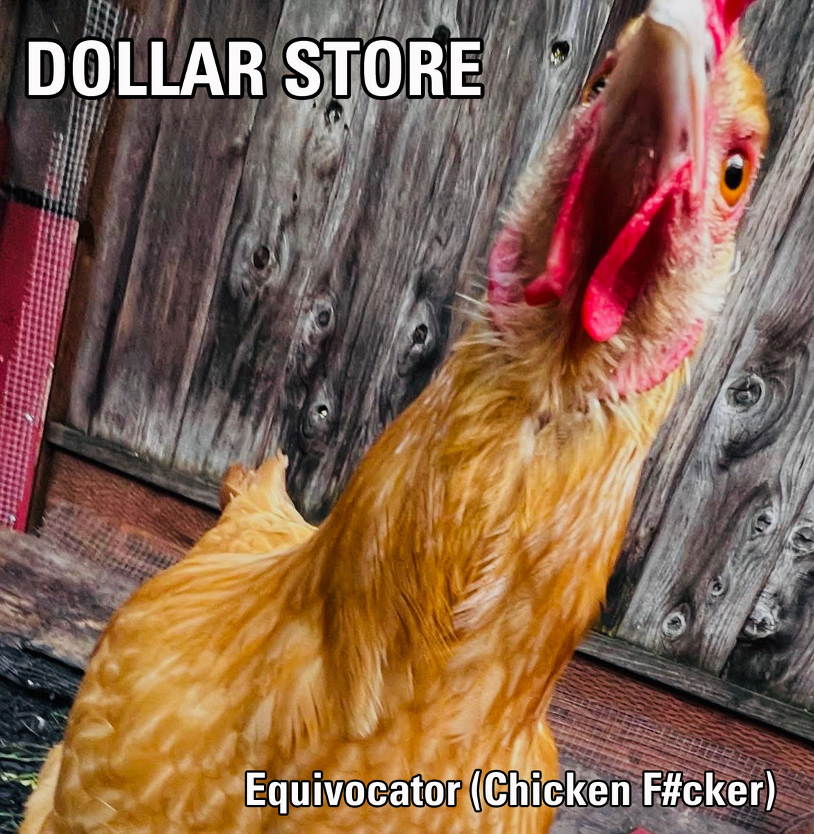 Equivocator (Chicken F##ker) | DOLLAR STORE
