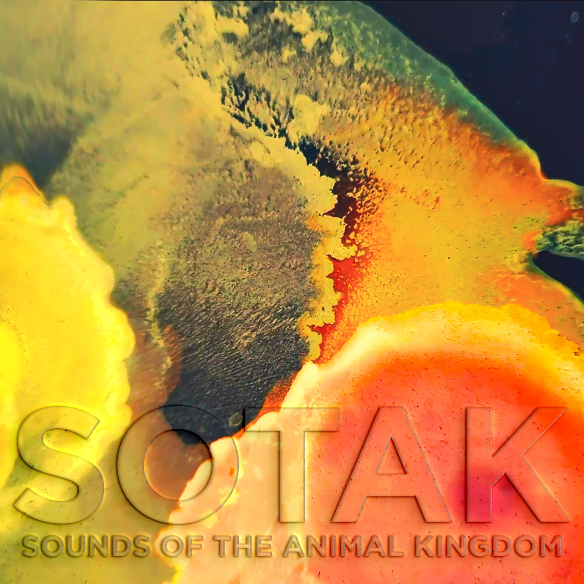 Sounds Of The Animal Kingdom | SOTAK | 33records