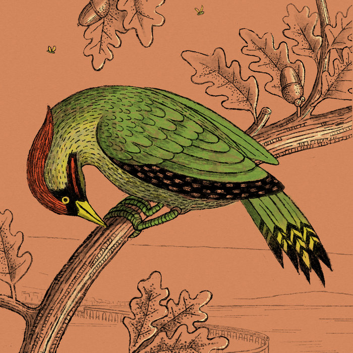 The Cold Collar (Feat. Gruff Rhys) | Andrew Wasylyk