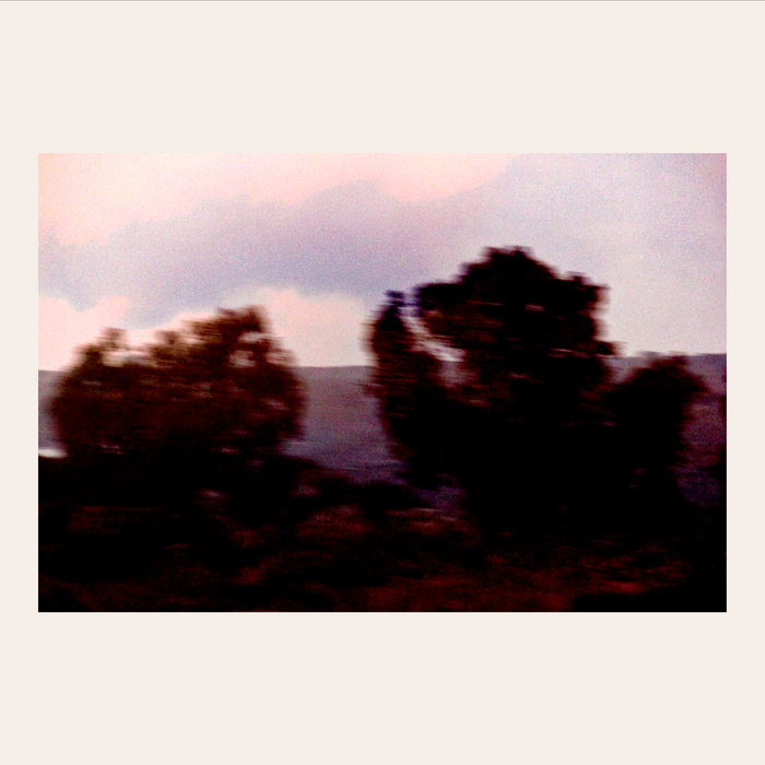 Dry Orchard | Itai Arad