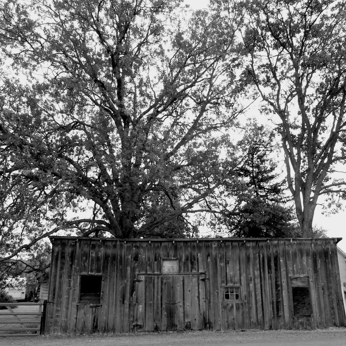 Filthy Grid | The Cassetetes