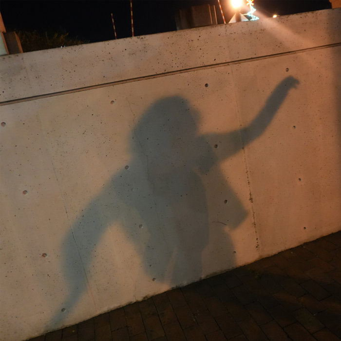 Living Shadows | RosyGrove