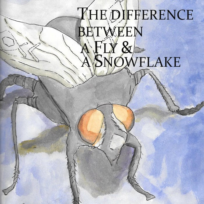 The Difference Between a Fly and a Snowflake | Handsoap Opera