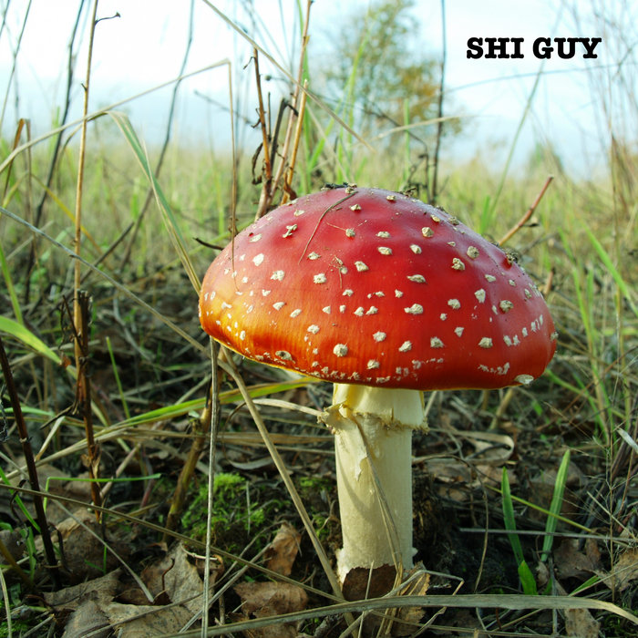 Shi Guy Demo | Shi Guy