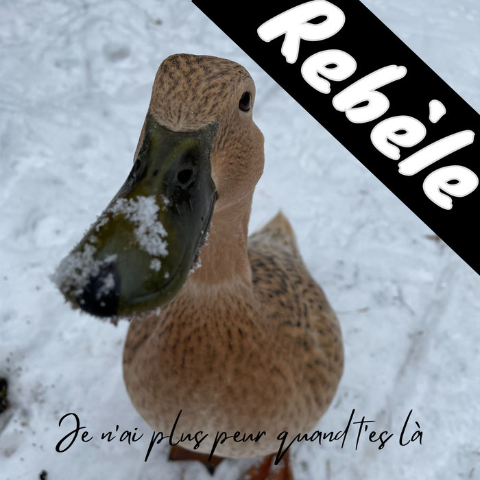 Je n'ai plus peur quand t'es là | Rebèle
