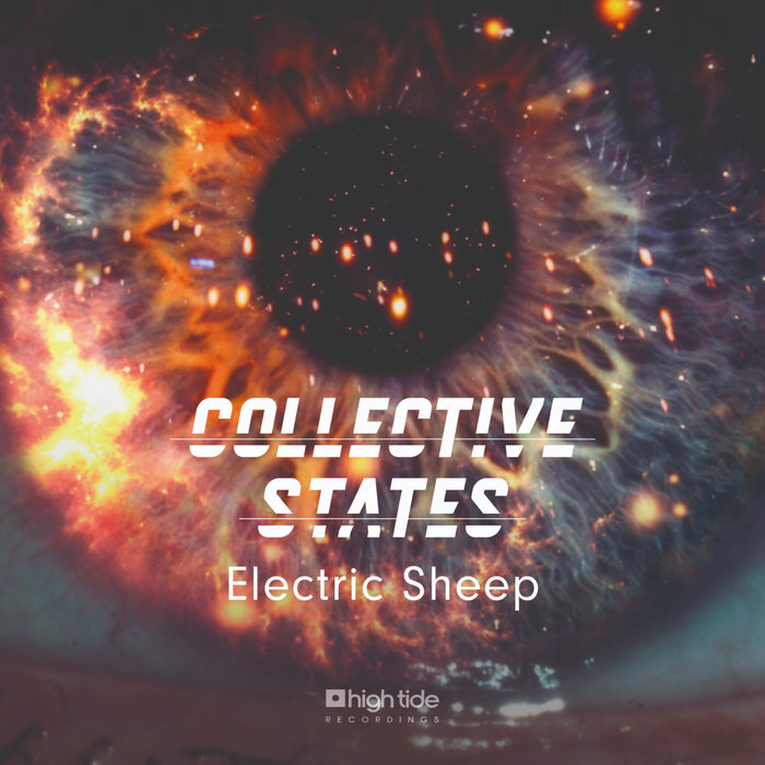Electric Sheep | Collective States