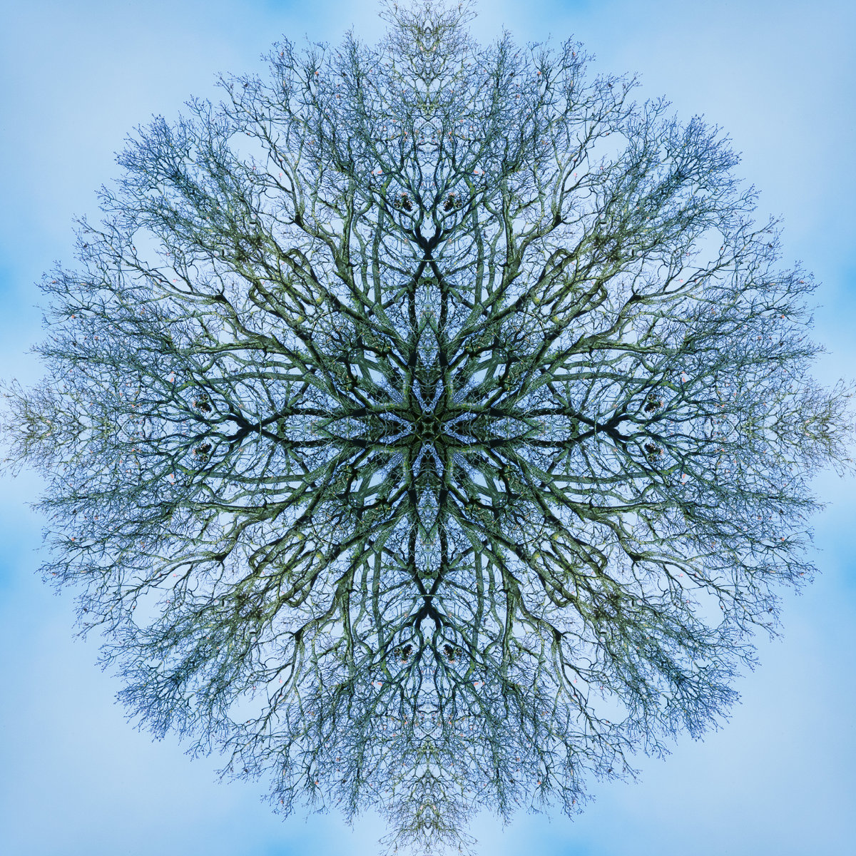 Continuum Evidence | DTime