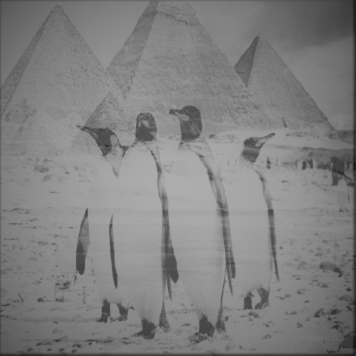Pyramids of Antarctica | Black Tribe