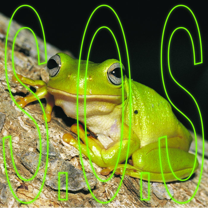 The Frogs Are Dying | River Yarra | Super Utu