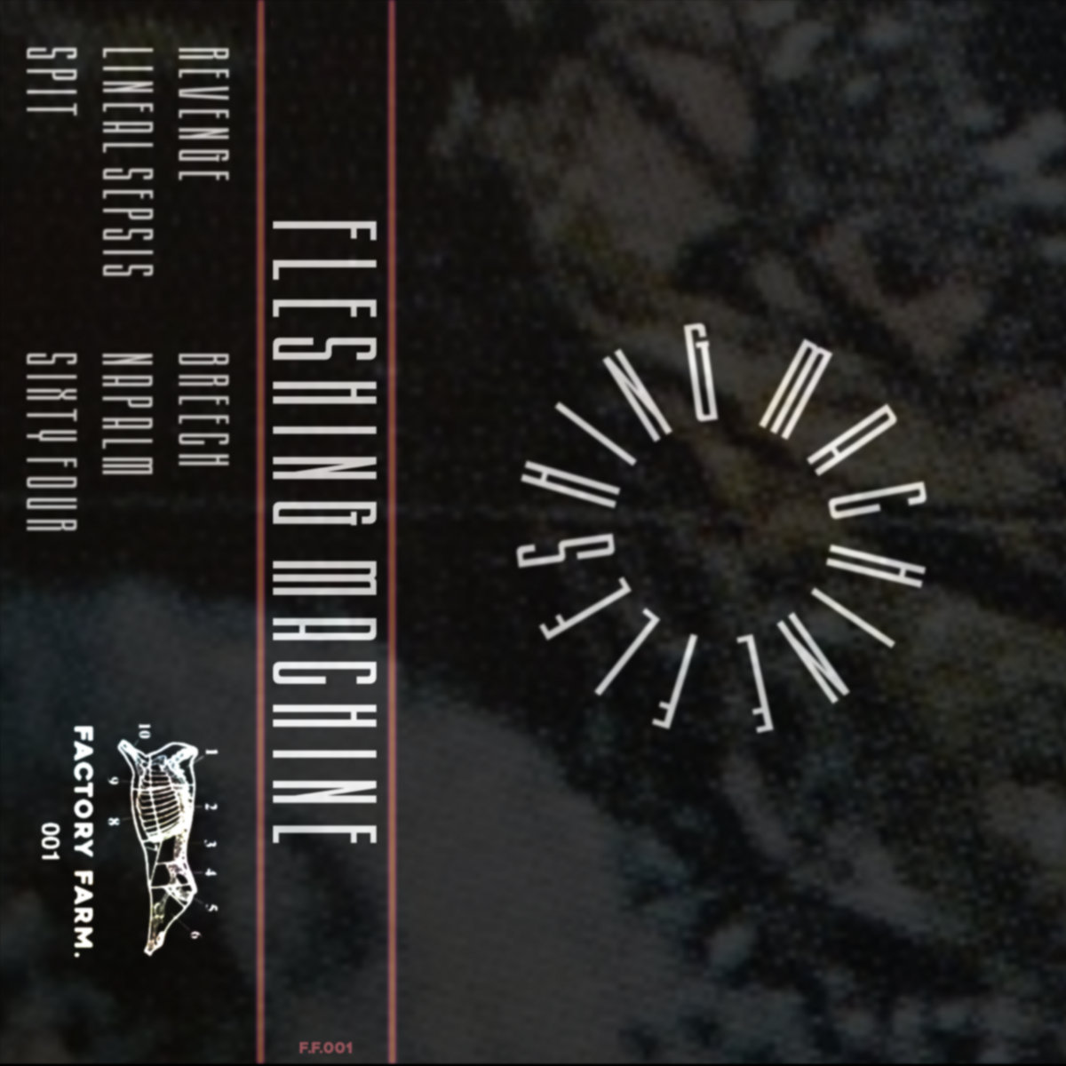 Fleshing Machine | Fleshing Machine | Factory Farm.