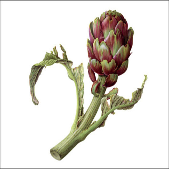 tess's birthday song | the ellen page