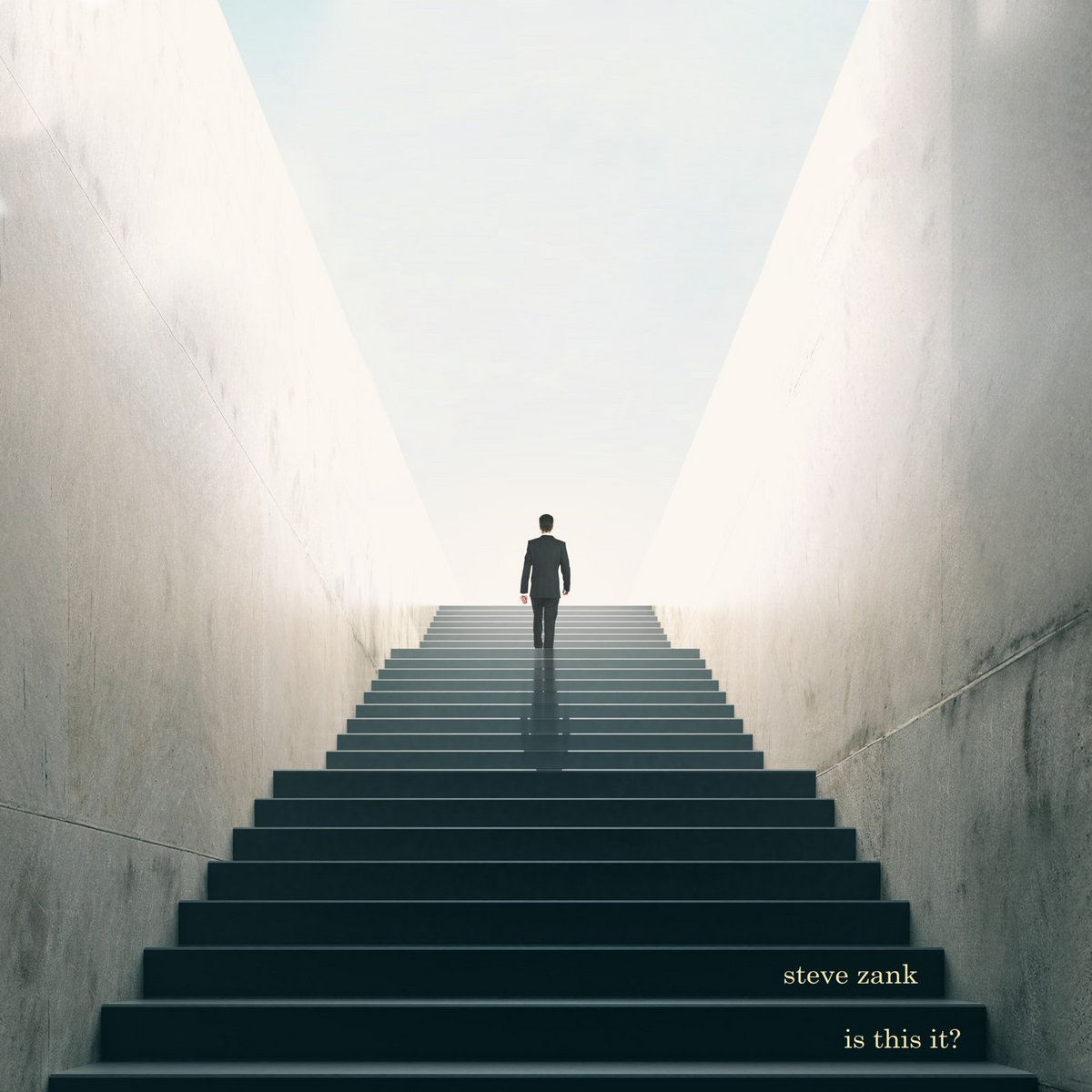 Is This It? | steve zank