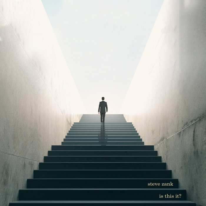 Is This It? | steve zank