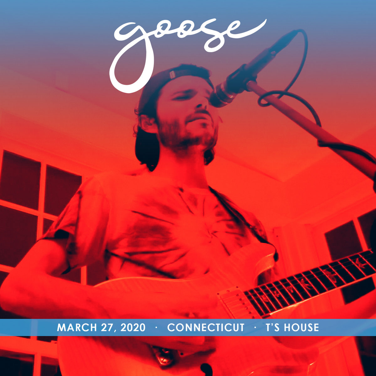 2020/03/27 T's House, Connecticut | Goose