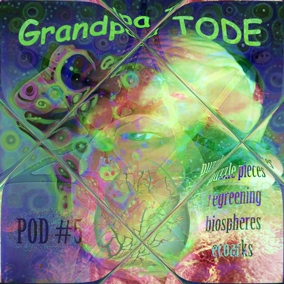 POD #5 - Puzzle Pieces to Ecoarks | Grandpa TODE